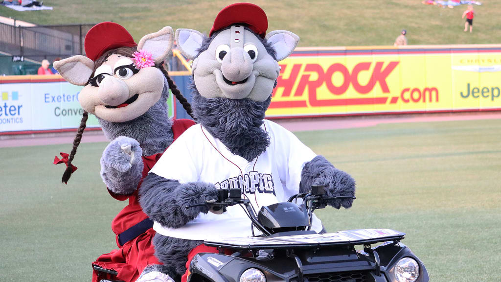 IronPigs Mascot Appearances | IronPigs