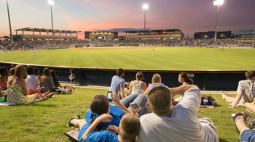 About | Blue Wahoos