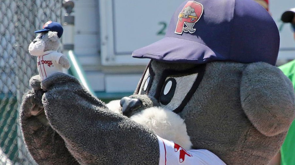 Sea Dogs Mascots Slugger the Sea Dog | Sea Dogs