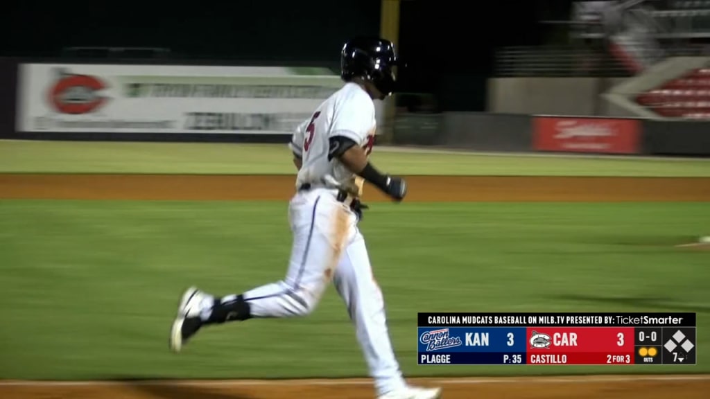 Luis Castillo Stats, Fantasy & News | MiLB.com