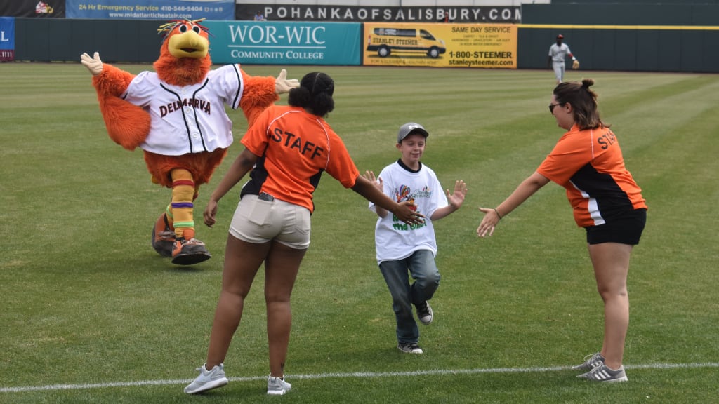 Shorebirds' School Day Games | Shorebirds
