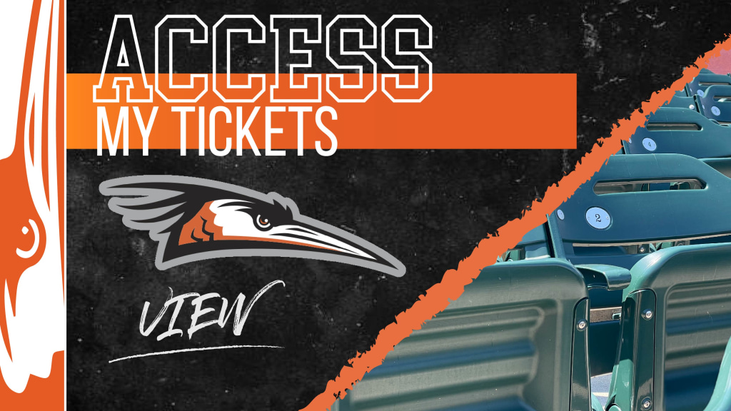 Delmarva Shorebirds | MiLB.com
