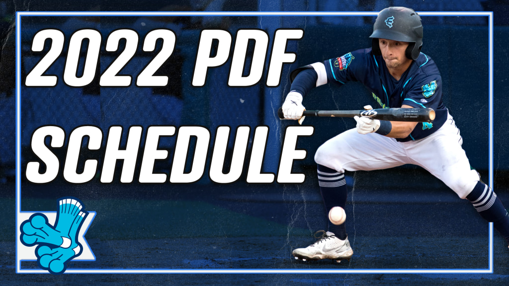 Everett AquaSox Baseball Club | MiLB.com