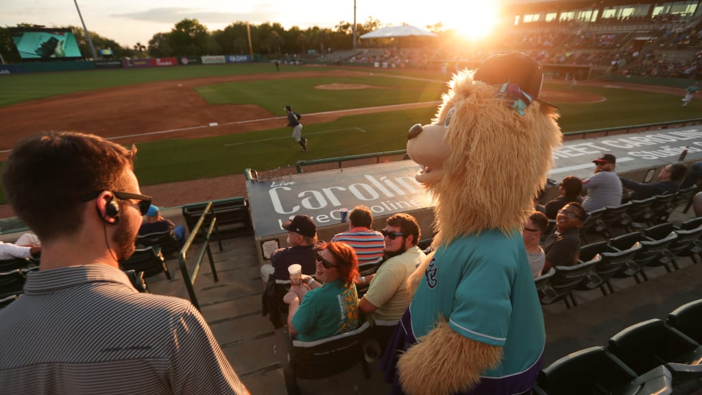 Front Office Staff | RiverDogs