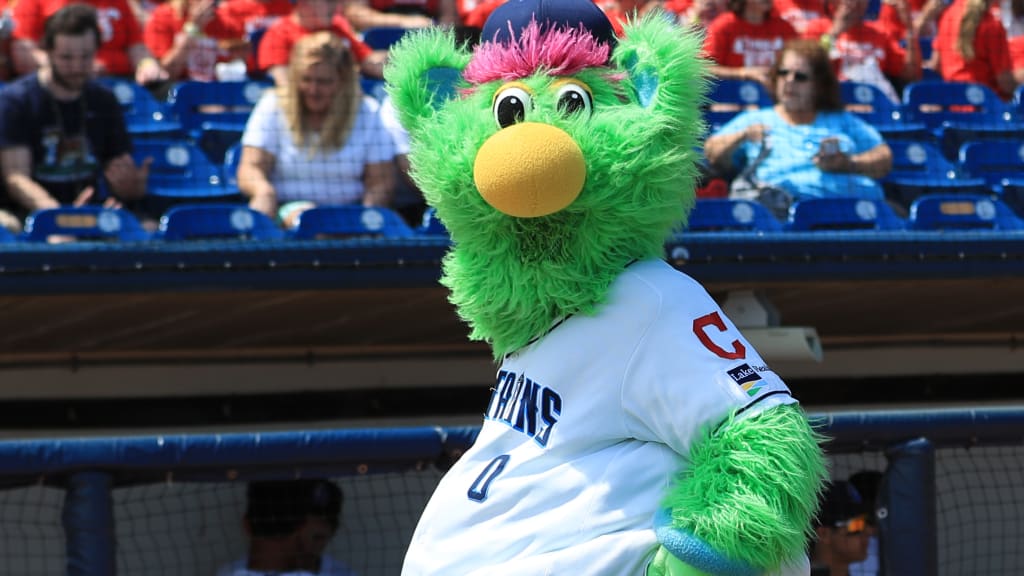 Lake County Captains | MiLB.com