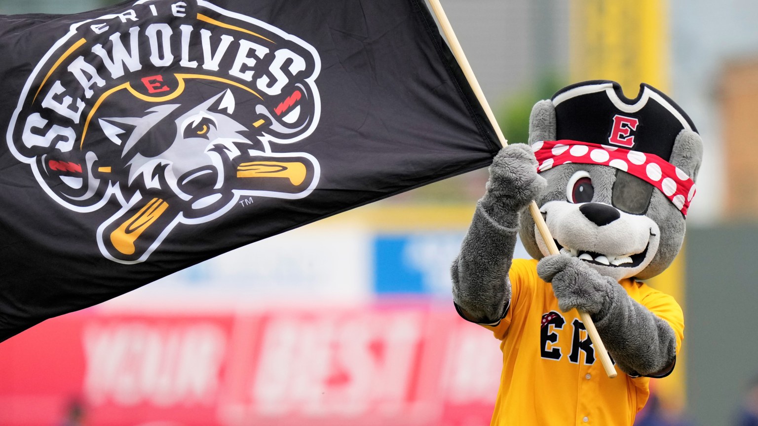 seawolves | SeaWolves