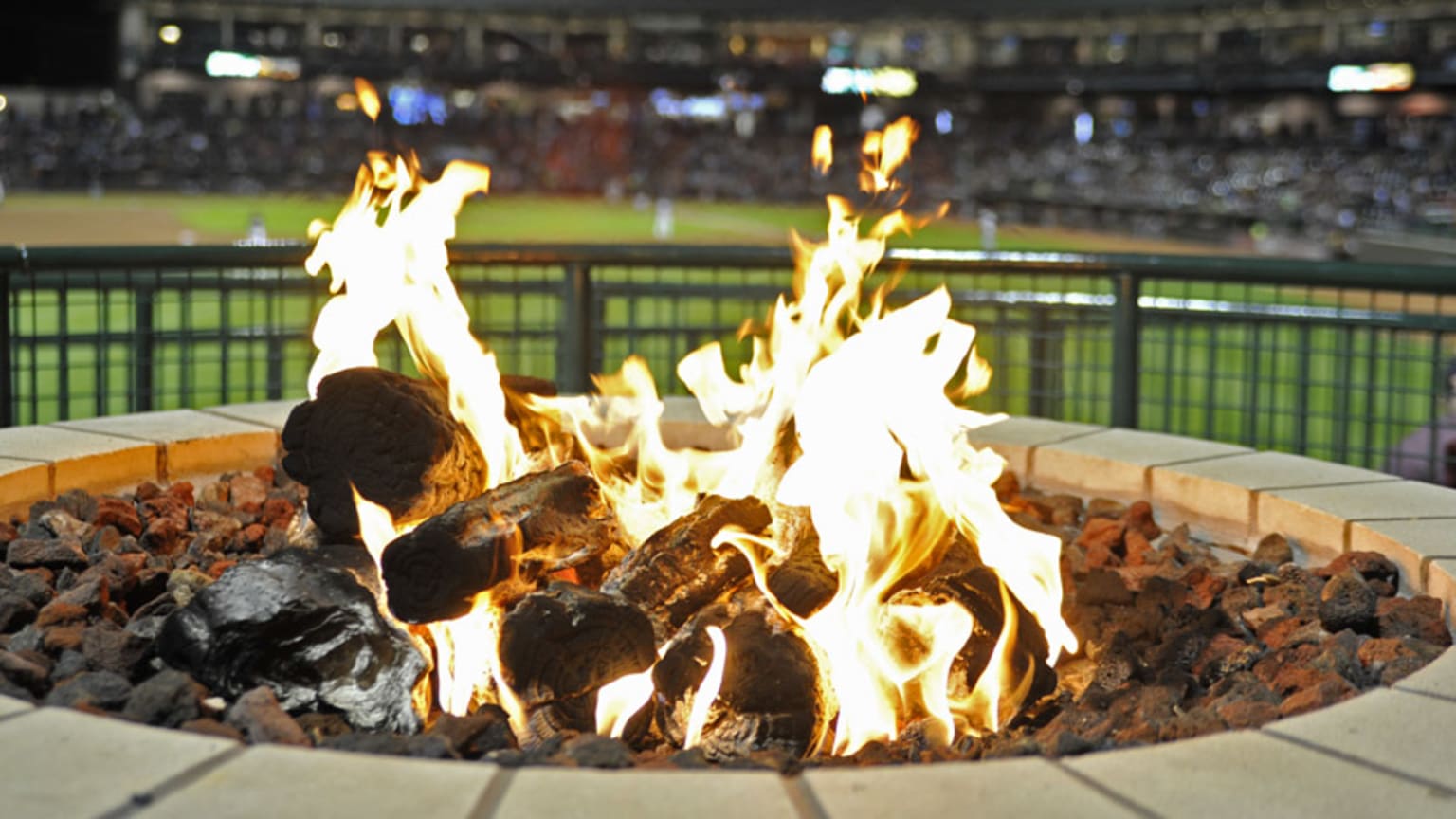 Dow Diamond in the Great Lakes Bay Region | Loons