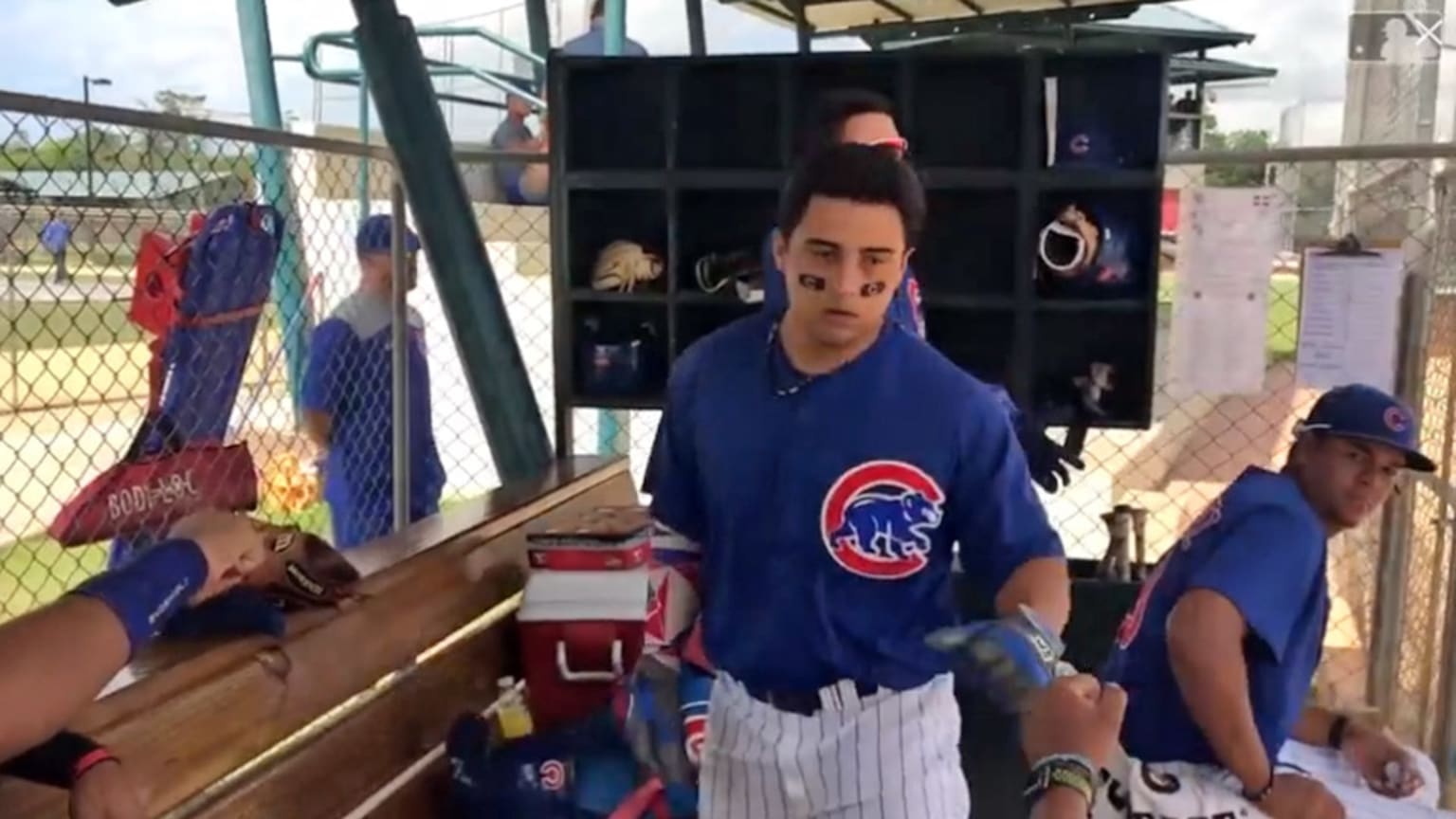 The Official Site of the Dominican Summer League | Dominican Summer League