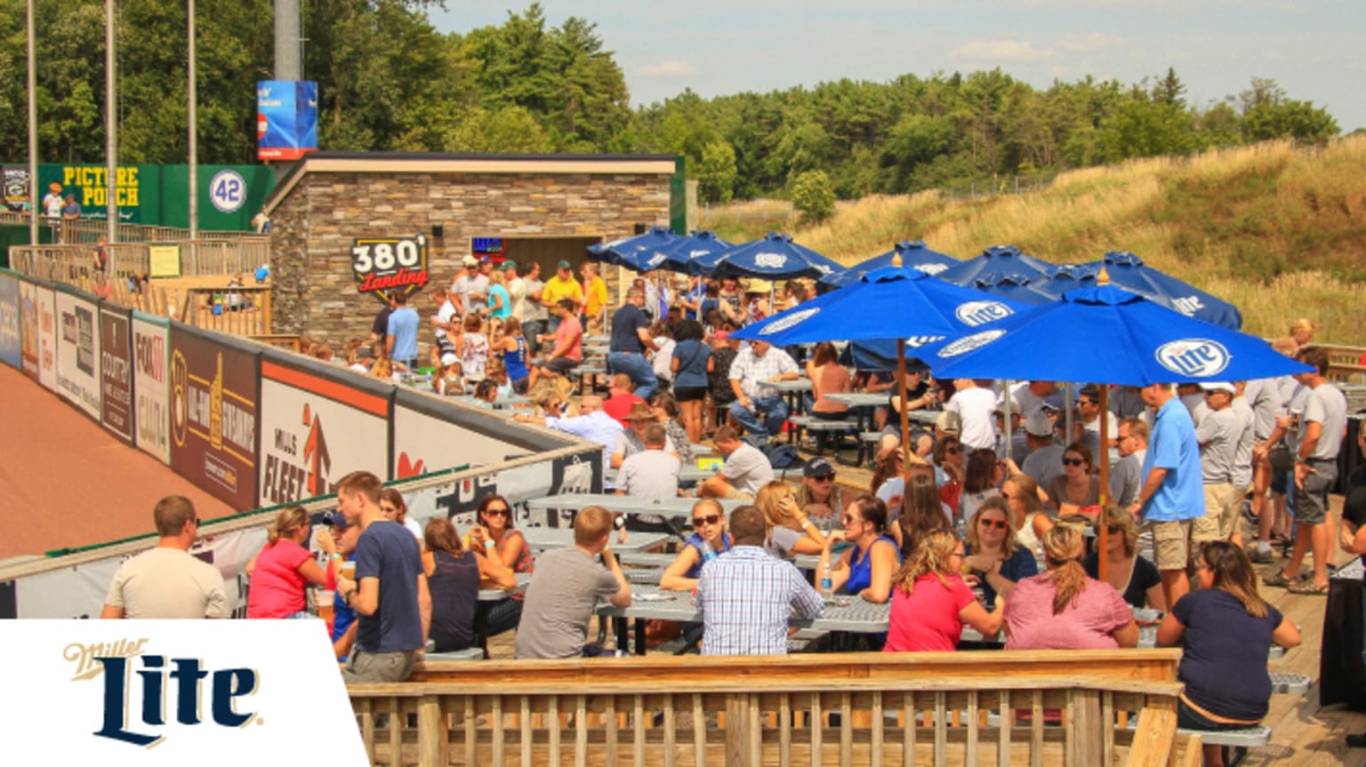 Groups & Picnics Page | Timber Rattlers