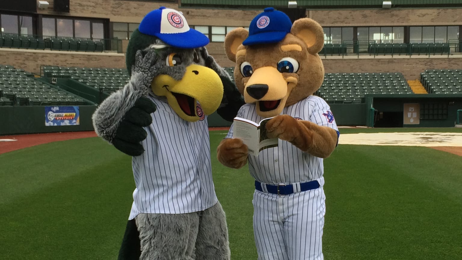 Swoop and Stu's Reading Club | Cubs