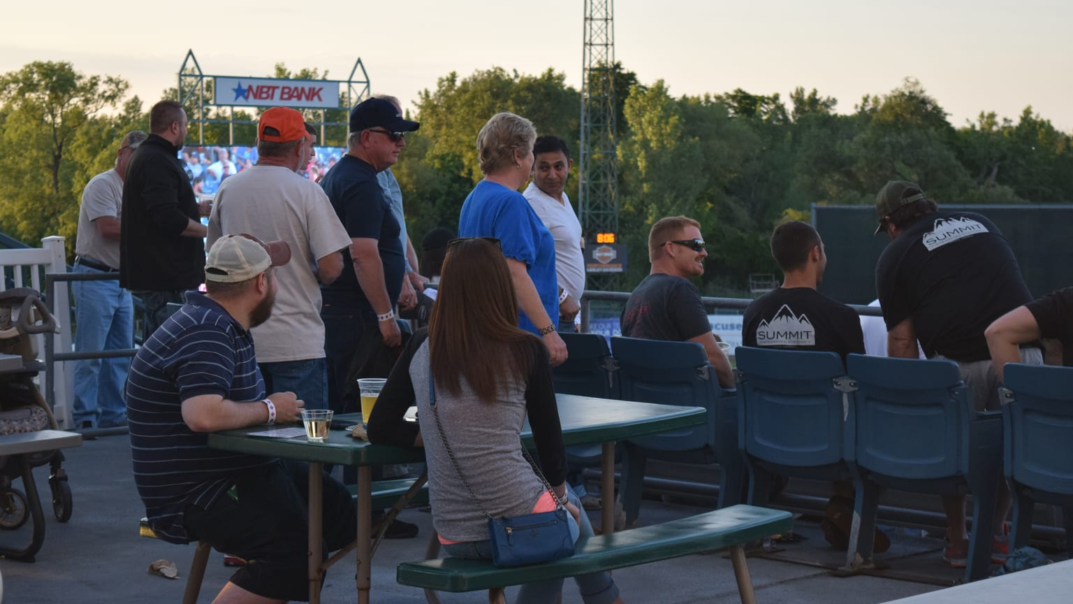 Book a Picnic with the Syracuse Mets! | Mets