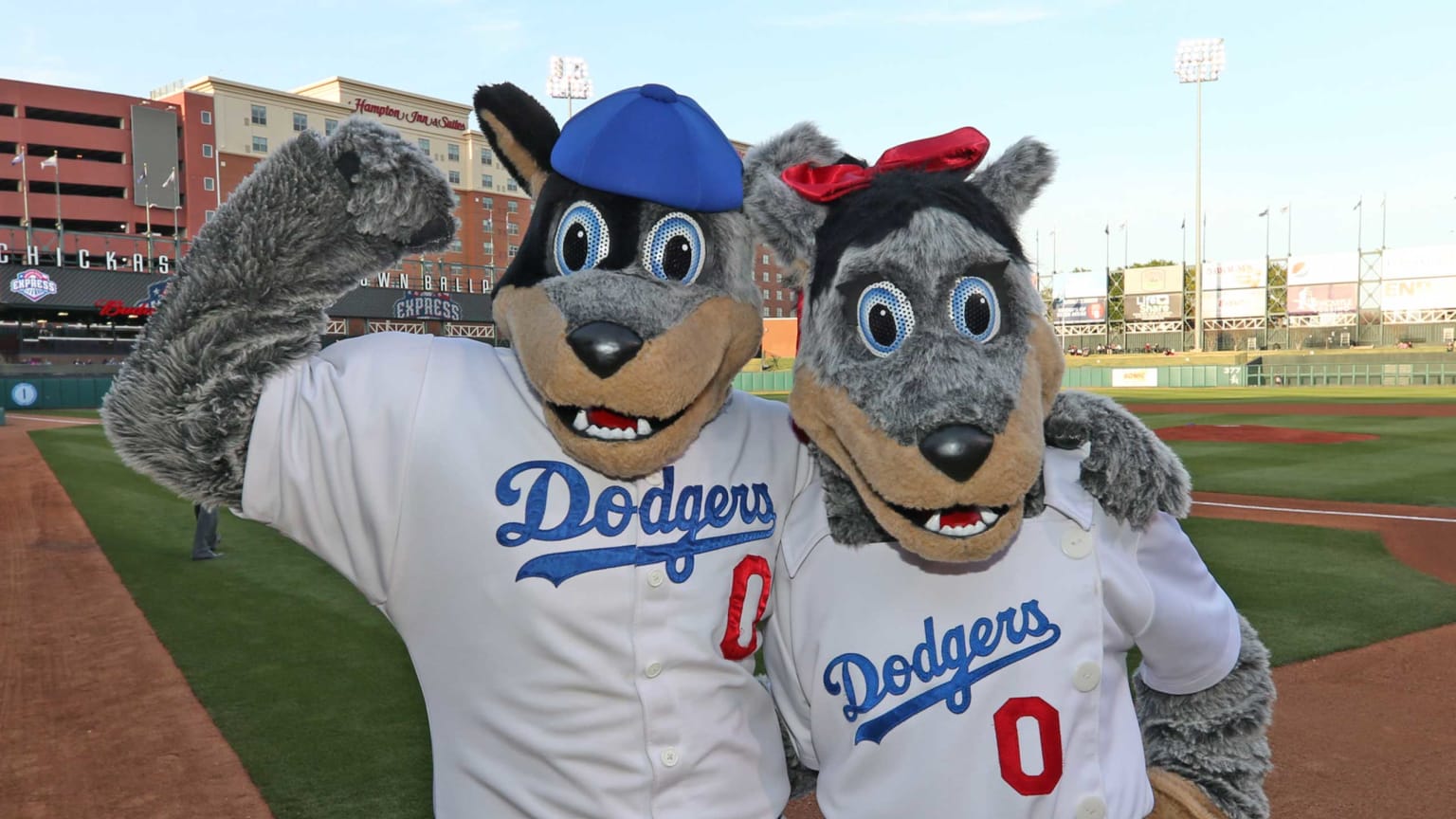 Mascot Appearances | Dodgers