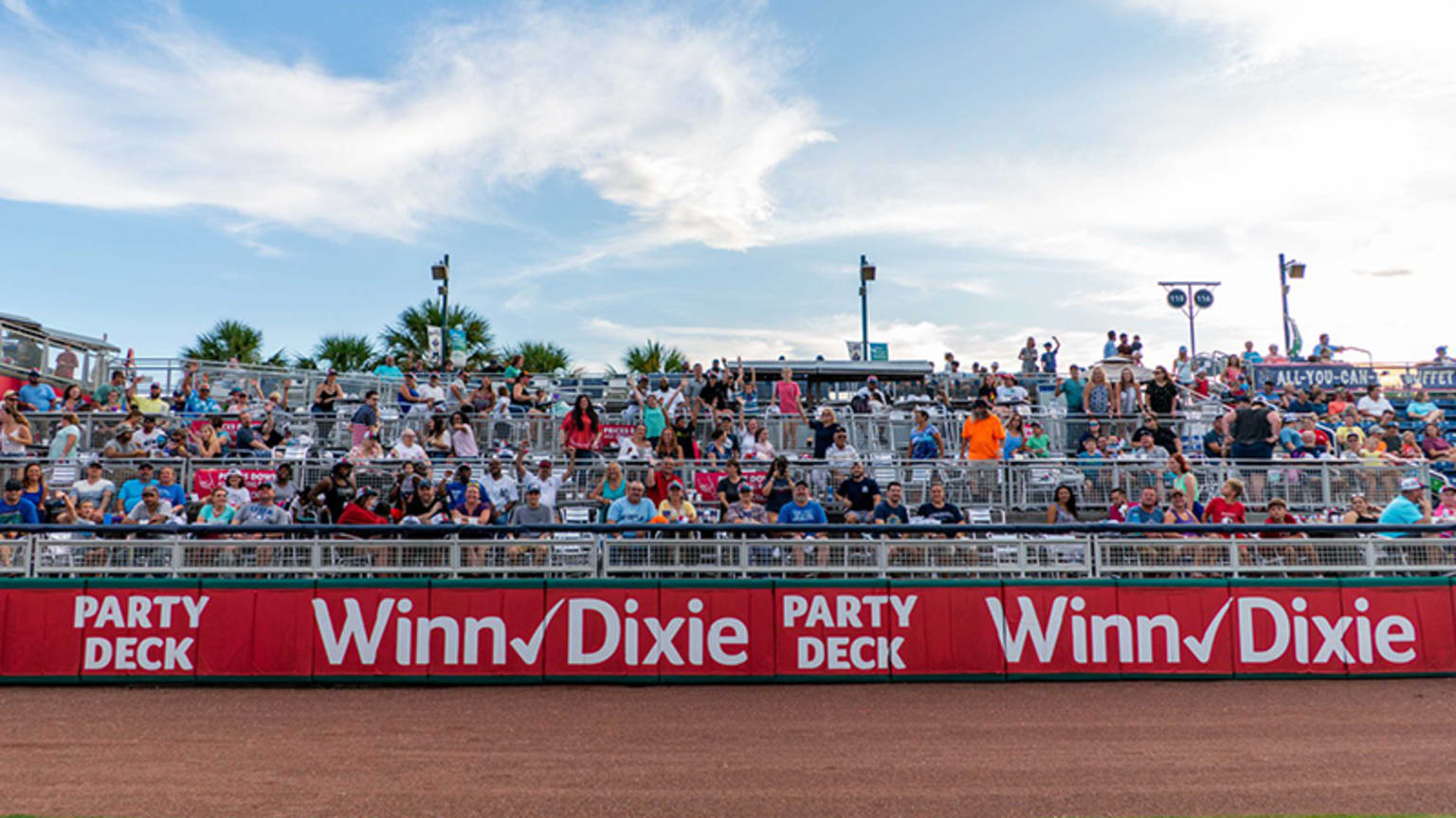 Partnership Opportunities | Blue Wahoos