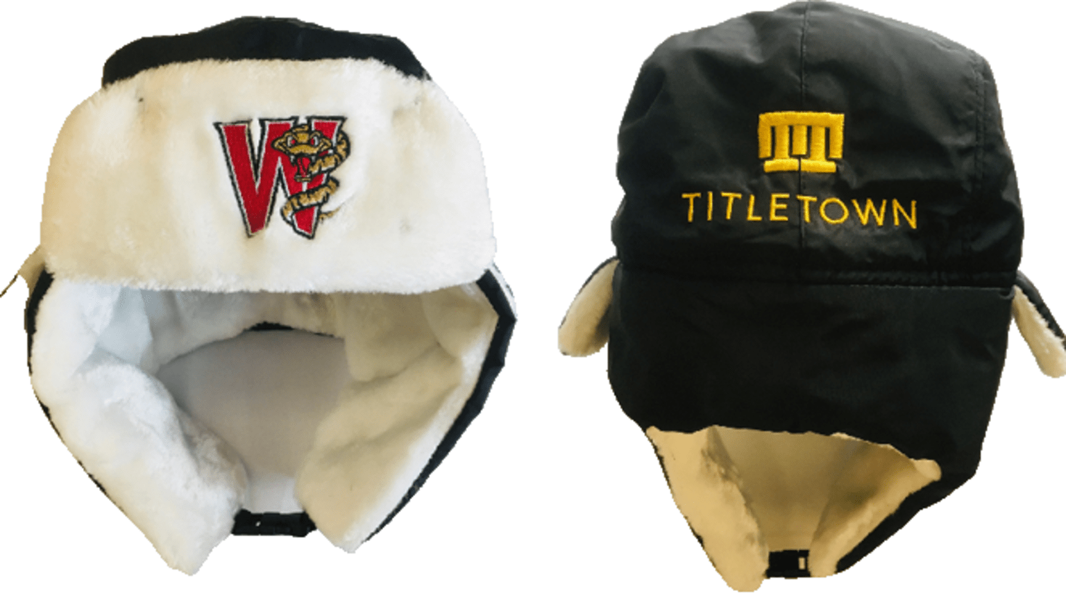 Theme Nights & Giveaways | Timber Rattlers