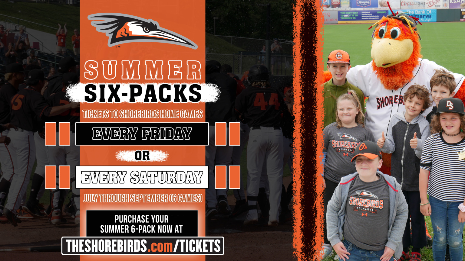 Shorebirds Summer 6-Pack | Shorebirds