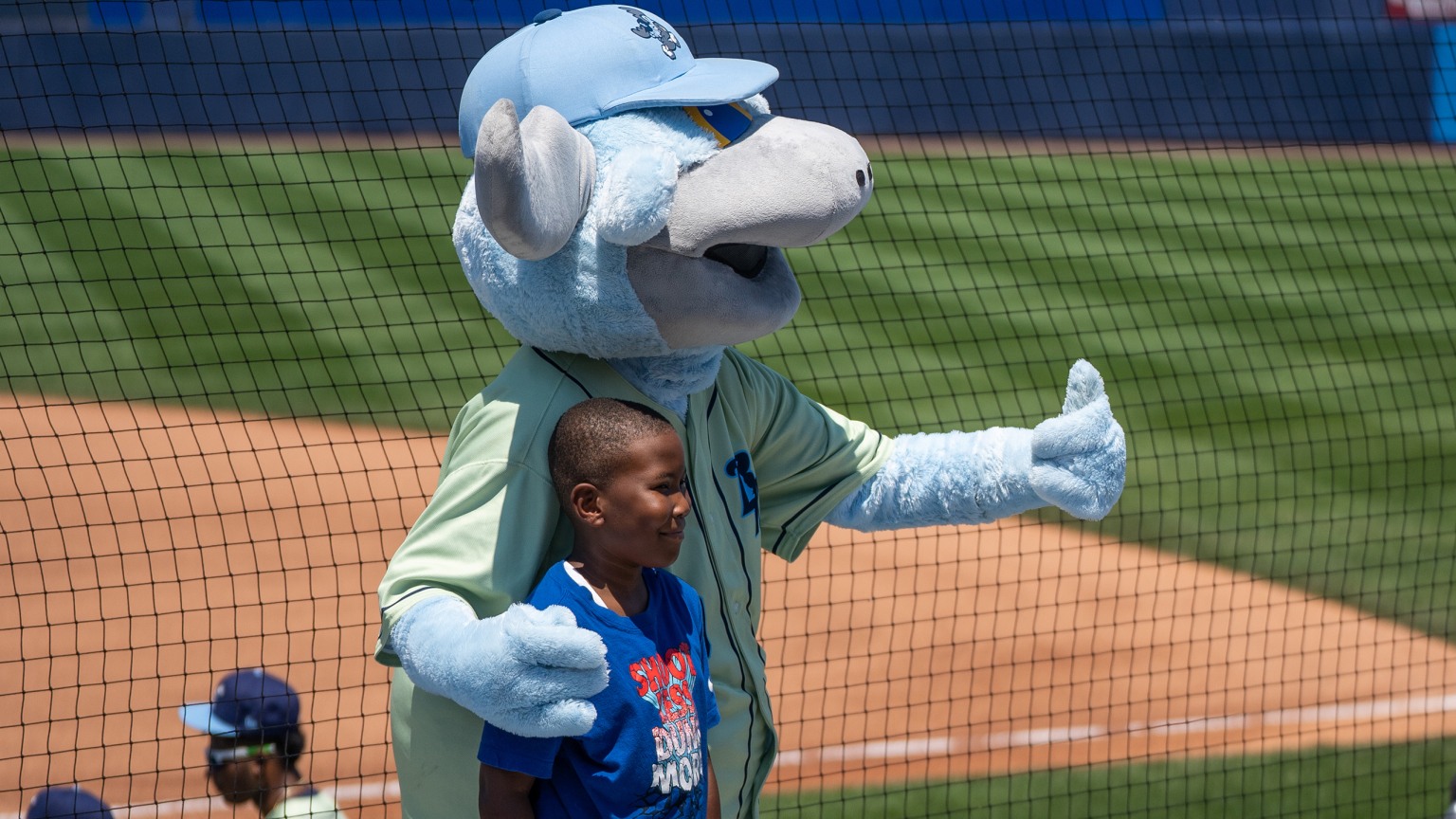 Wilmington Blue Rocks Birthday & Team Parties | Blue Rocks