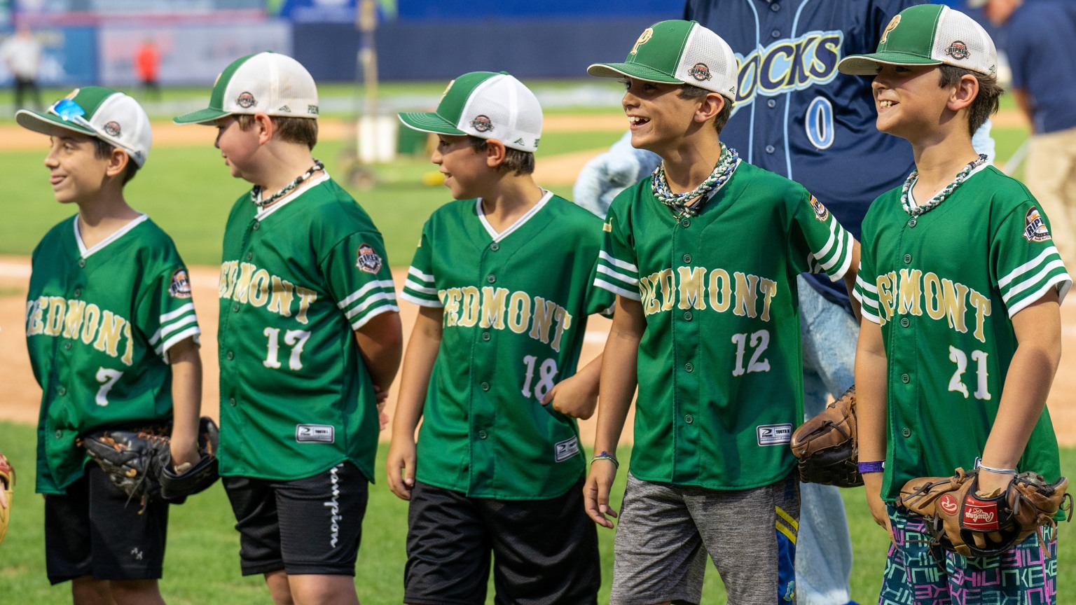 Wilmington Blue Rocks Group Portals | Blue Rocks