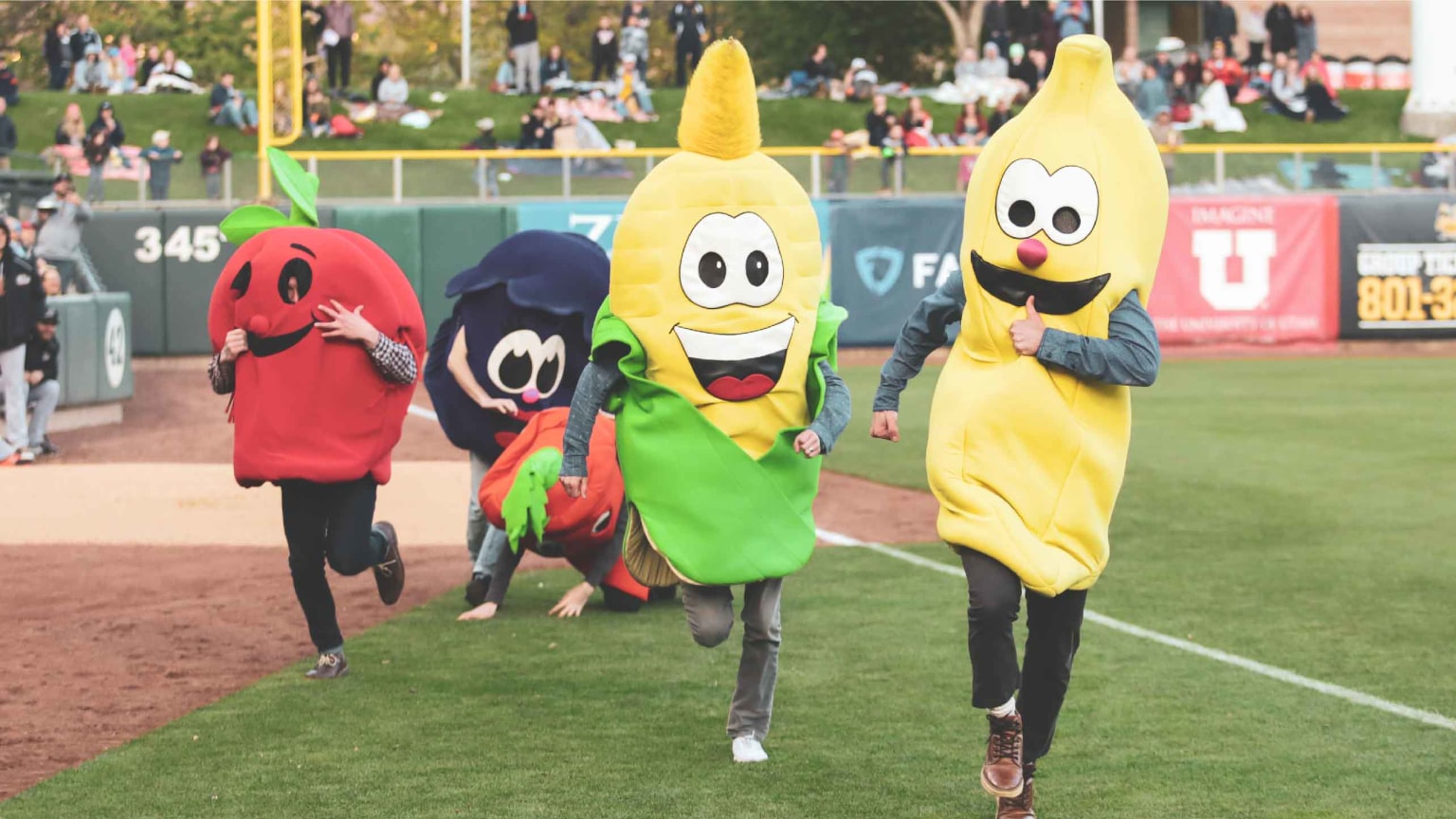 Salt Lake Bees Tickets | Bees