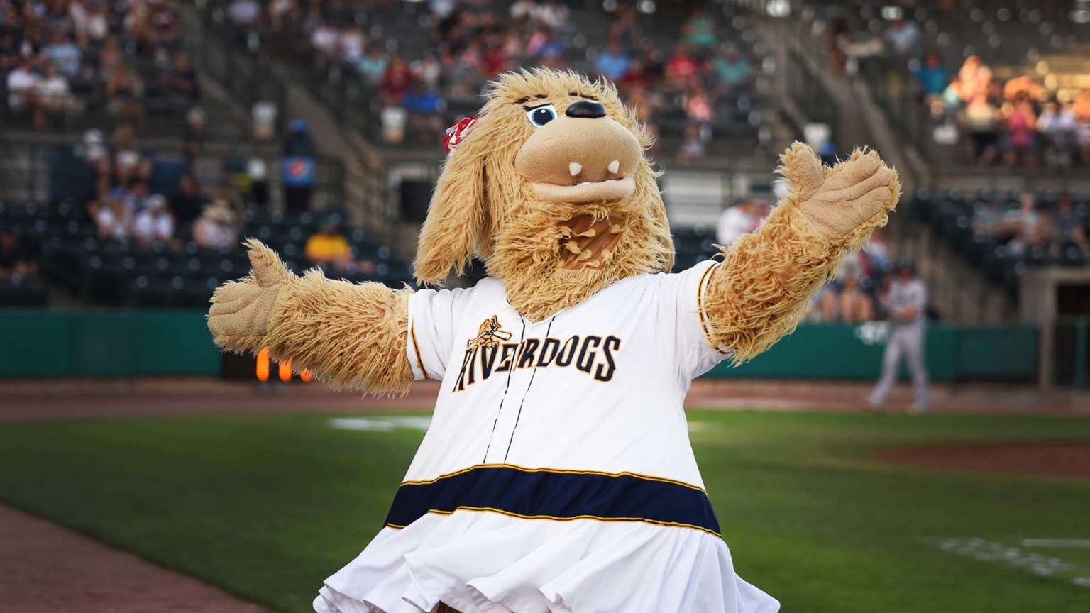 Front Office Staff | RiverDogs