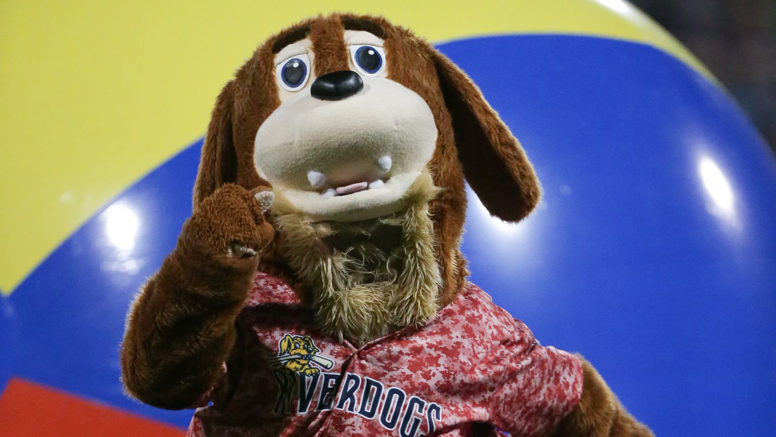 Front Office Staff | RiverDogs