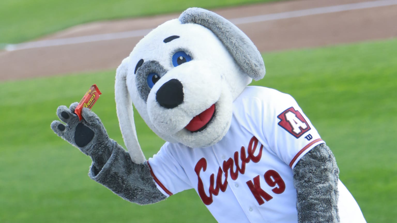 Altoona Curve Mascots | Curve