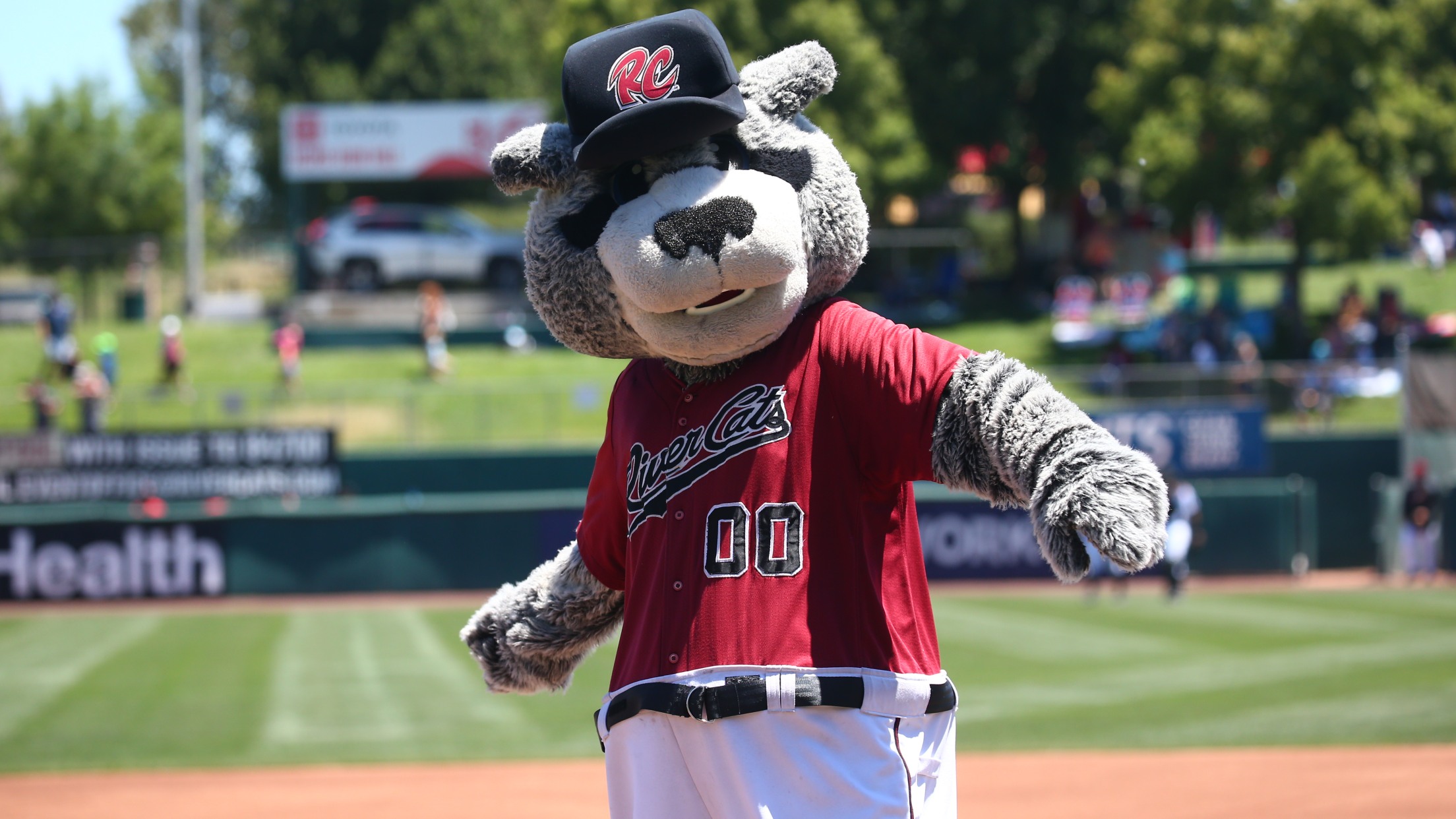 river-cats | River Cats