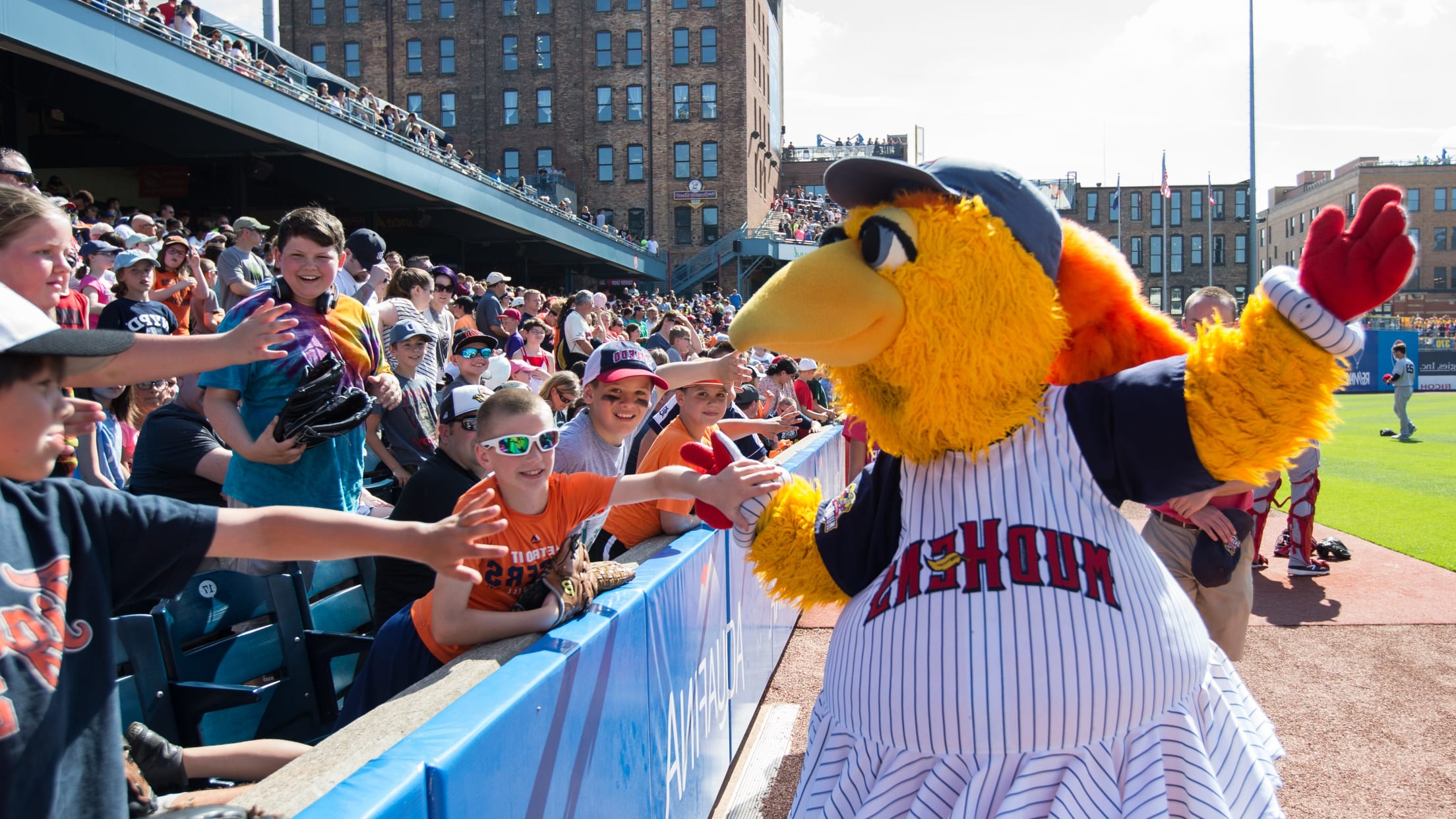Book a Mascot | Mud Hens