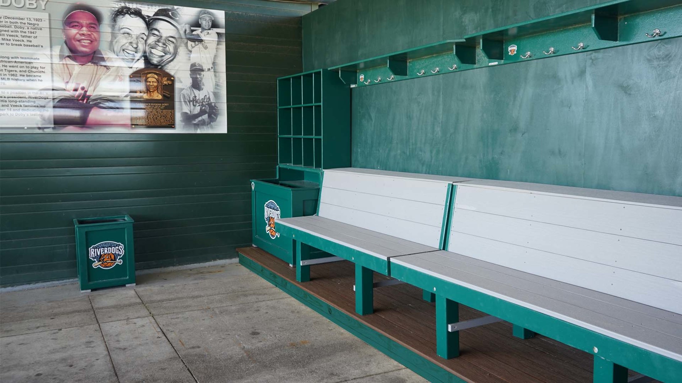 Groups, Picnics, & Suites | RiverDogs