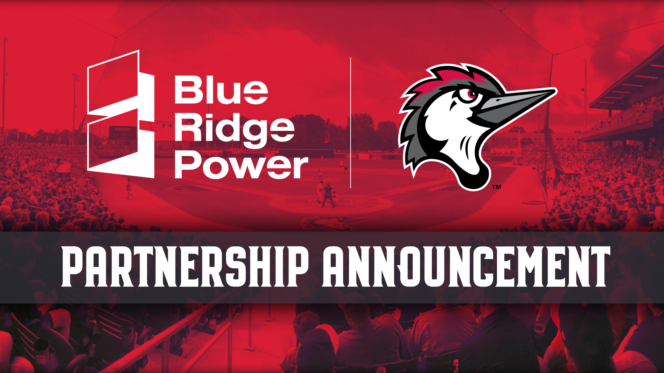 Blue Ridge Partnership | MiLB.com
