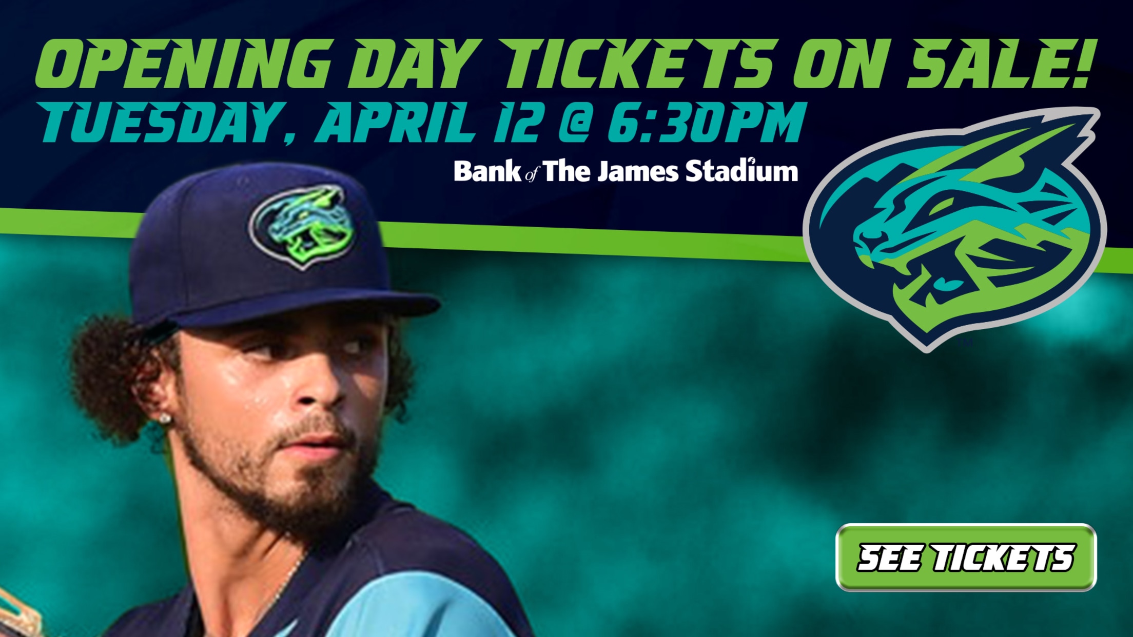 Lynchburg Hillcats | MiLB.com