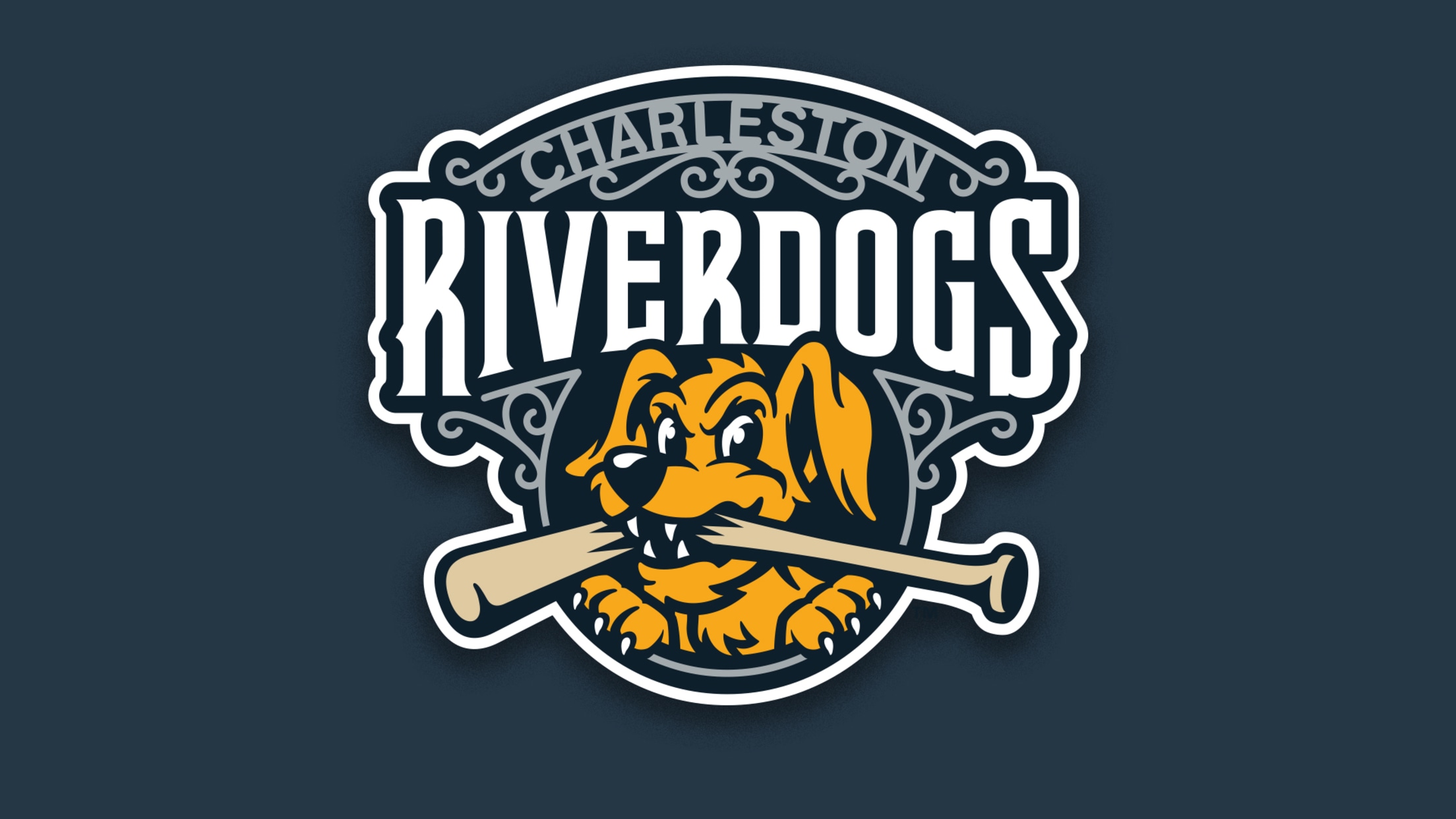 Echols Named One of Charleston’s Most Influential | RiverDogs
