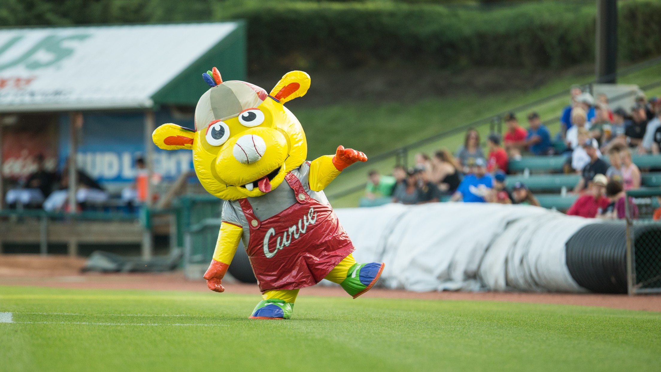 Altoona Curve Mascots | Curve