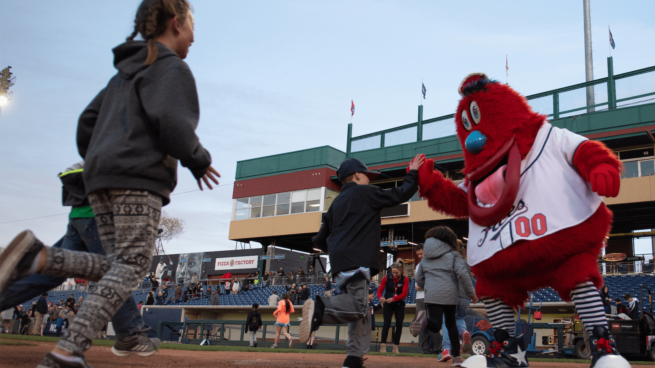 Club Information | Aces