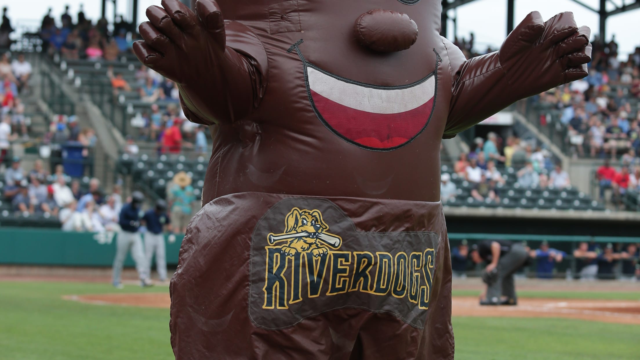 Front Office Staff | RiverDogs