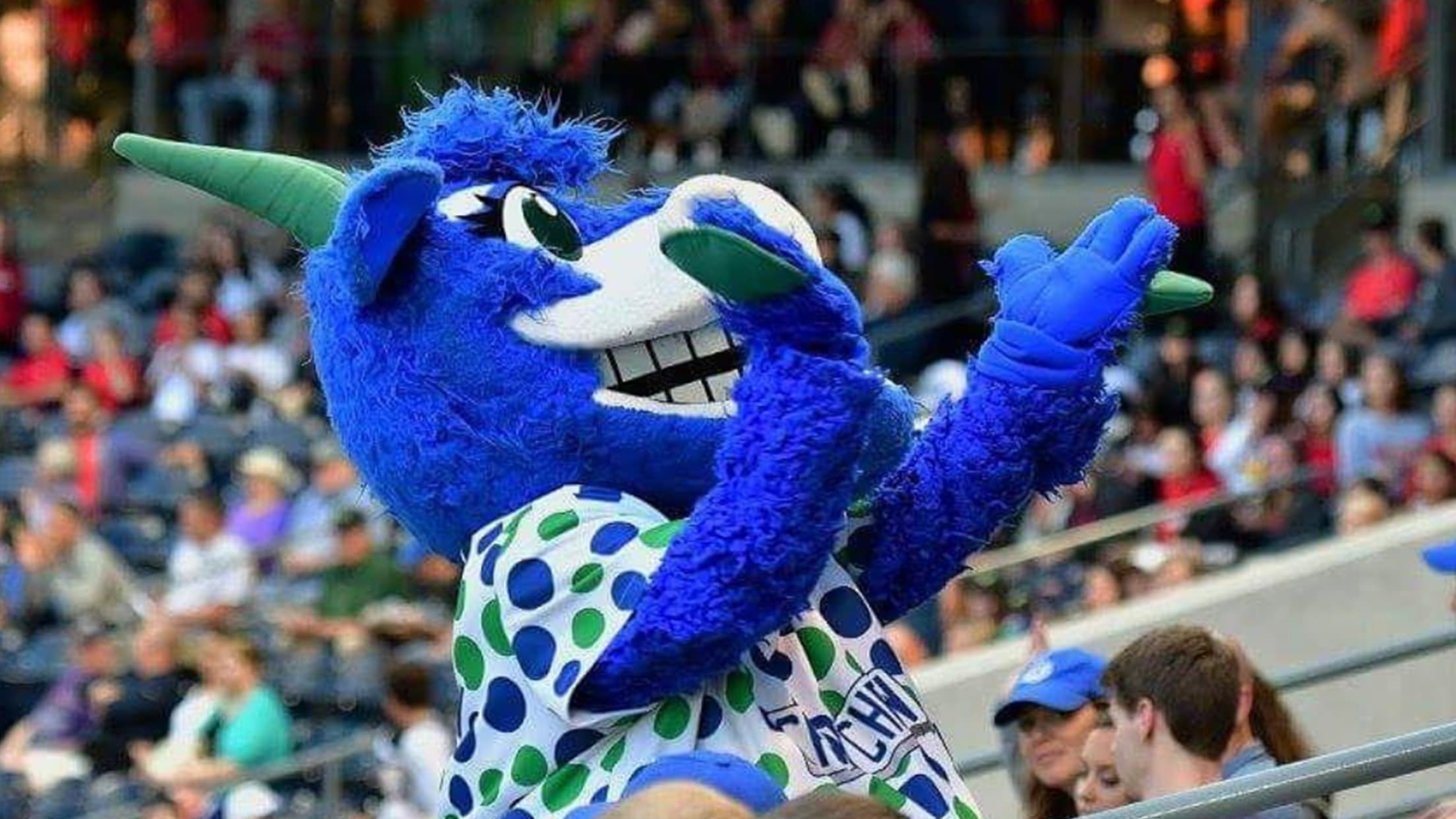 Birthday Parties | Yard Goats