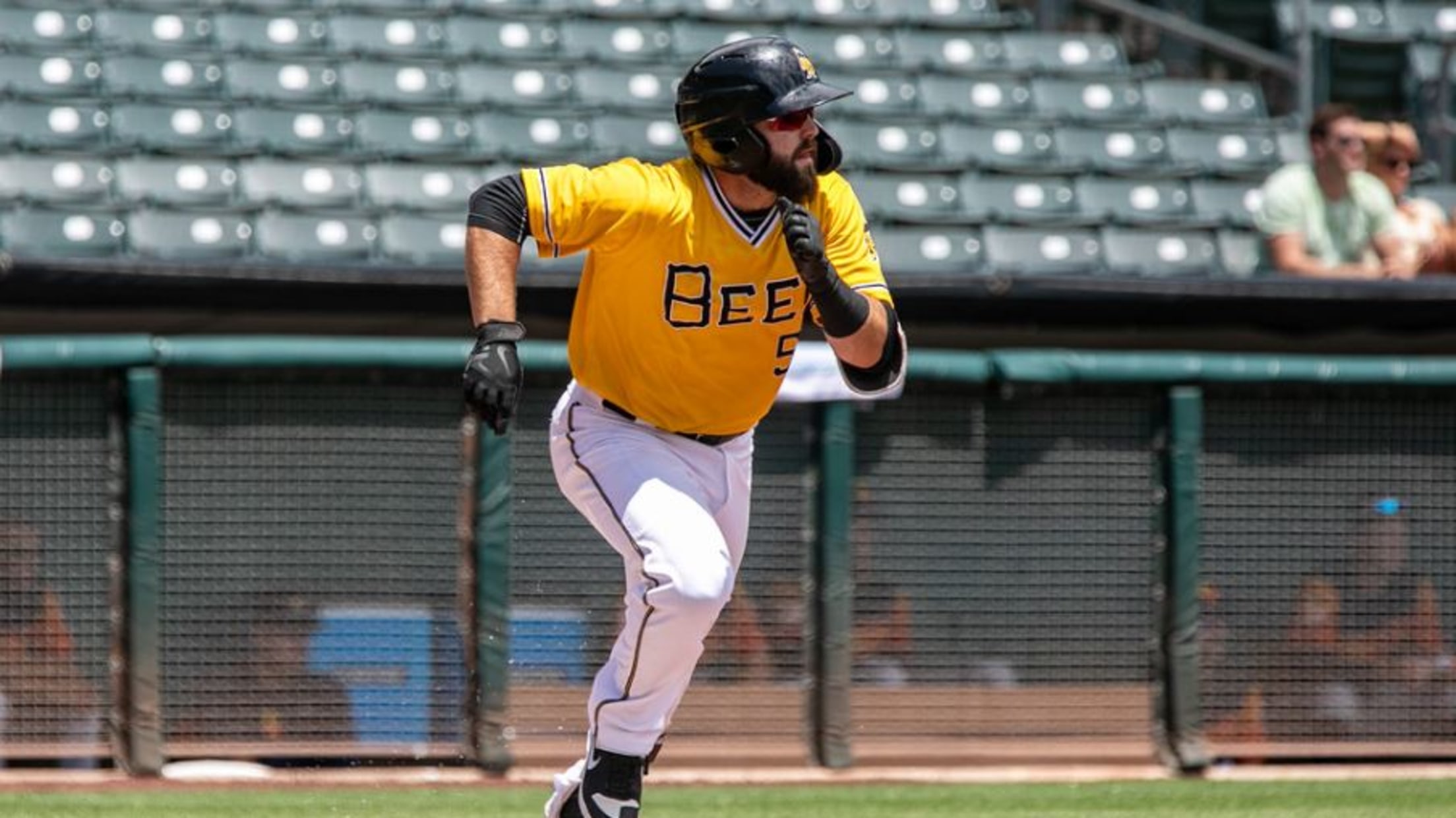Bees Win Opening Series | MiLB.com