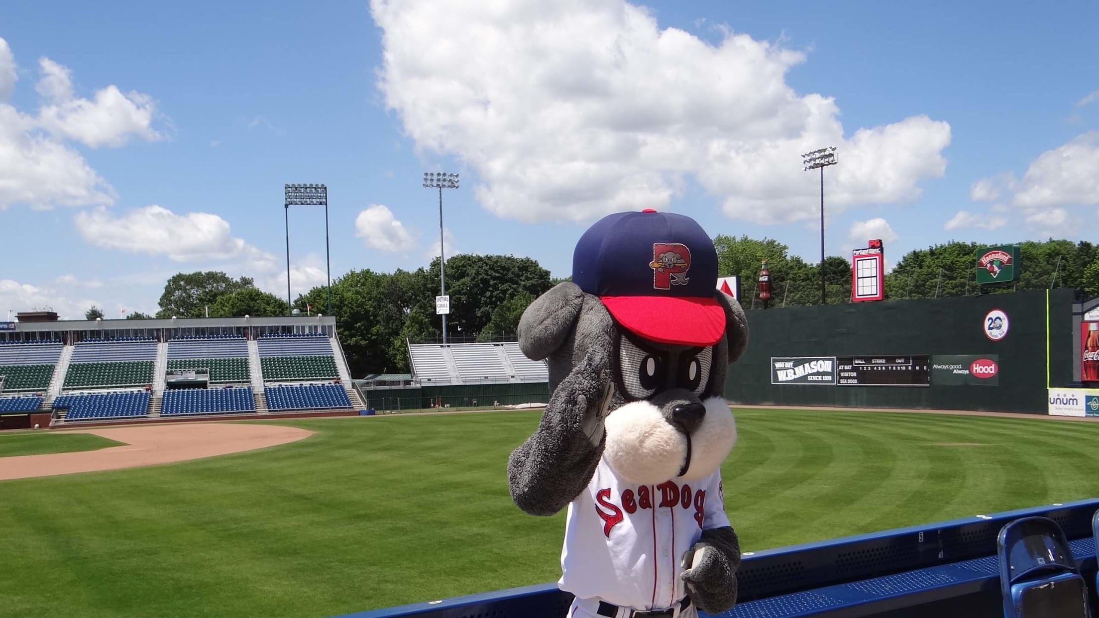 Portland Sea Dogs | MiLB.com