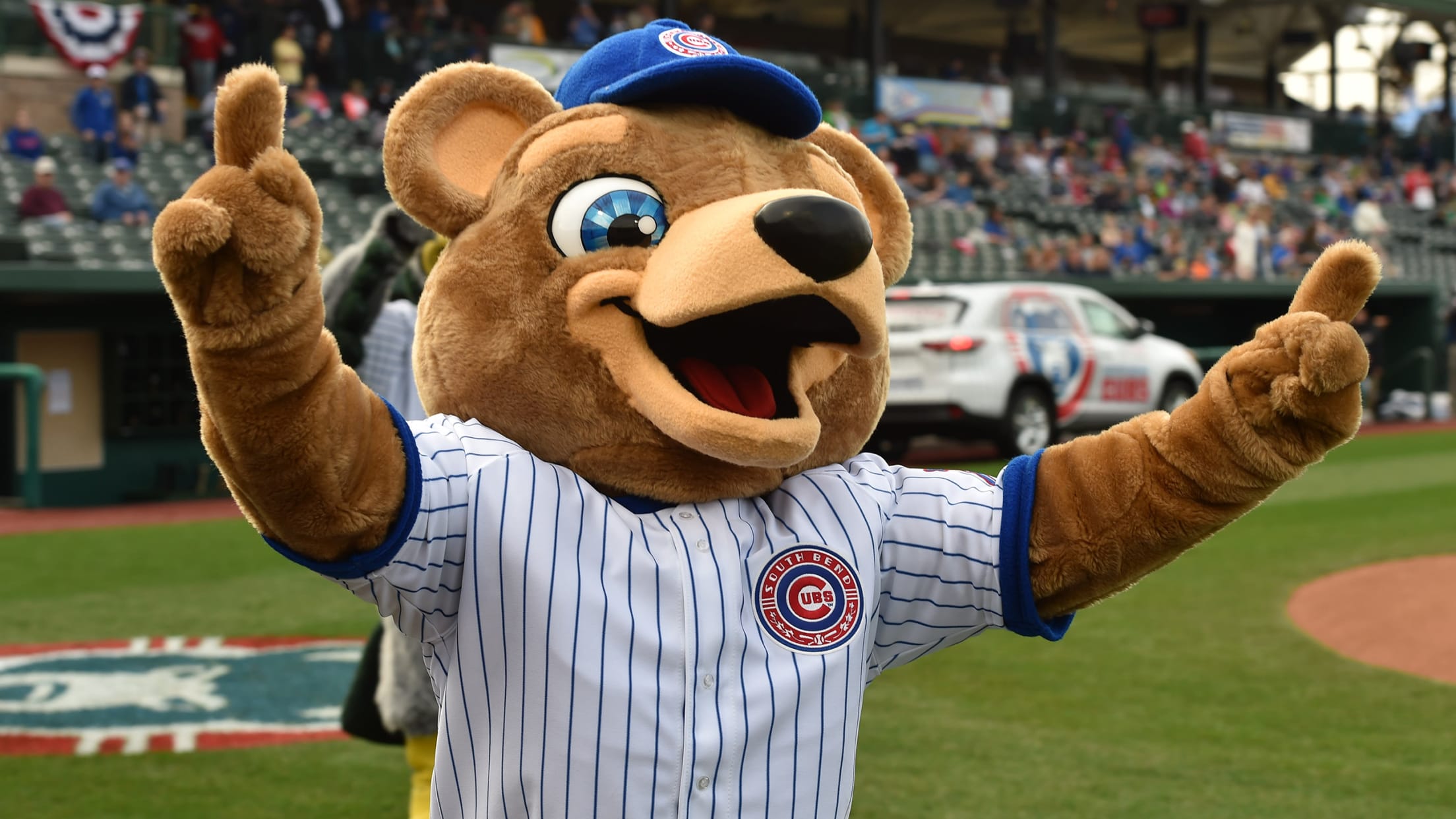 Meet Stu and Swoop | Cubs