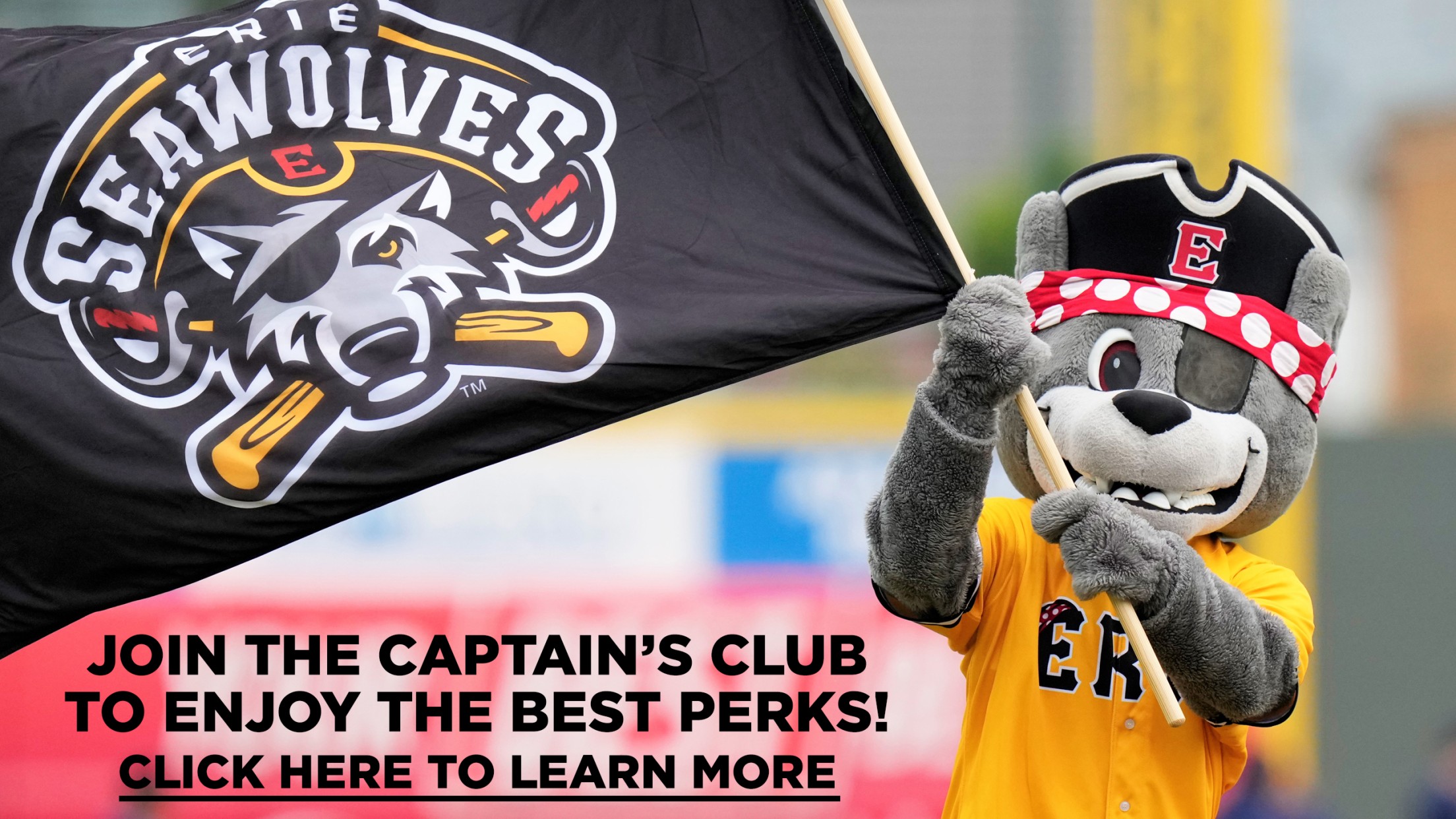 Erie SeaWolves | MiLB.com
