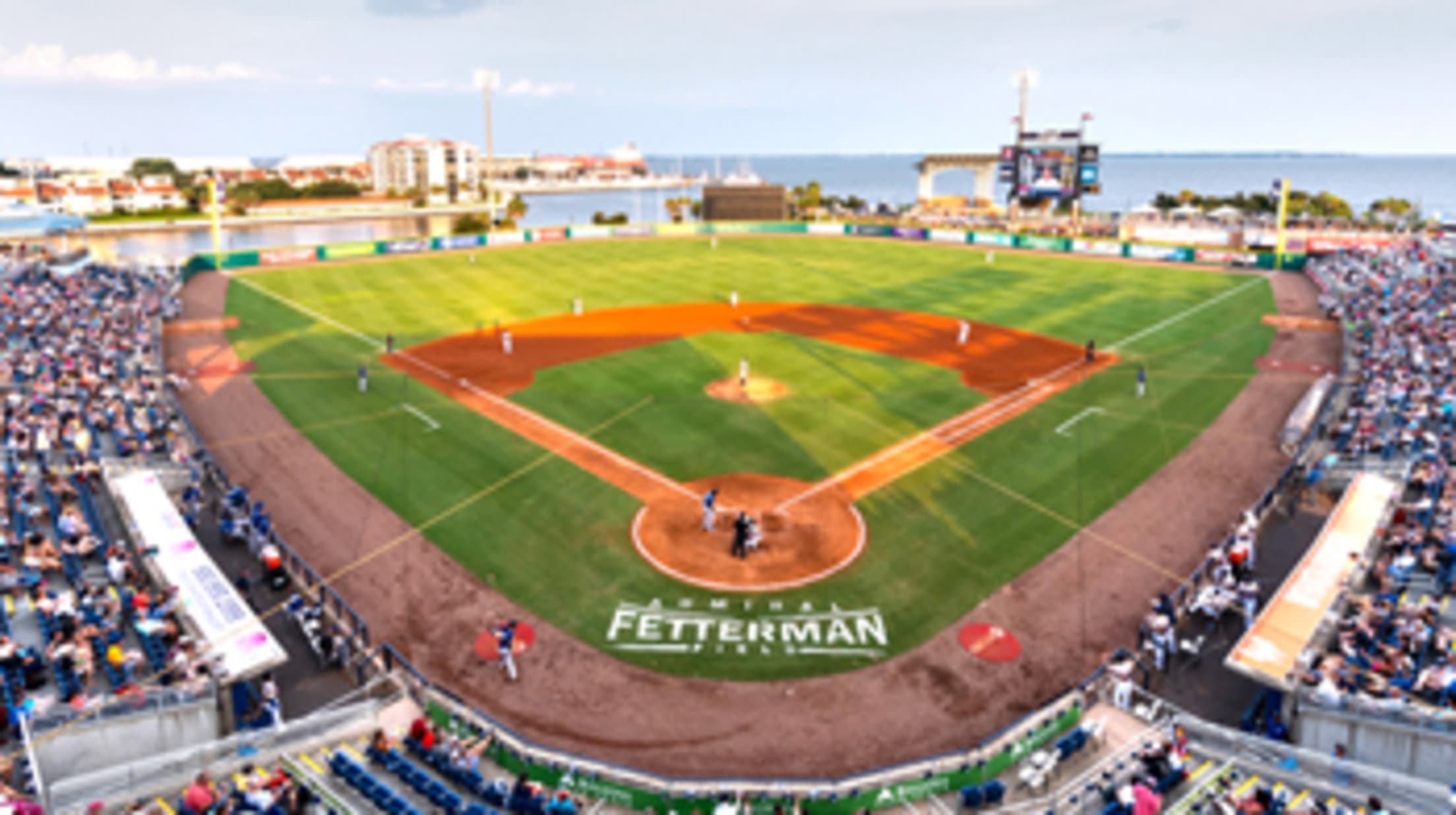 About | Blue Wahoos