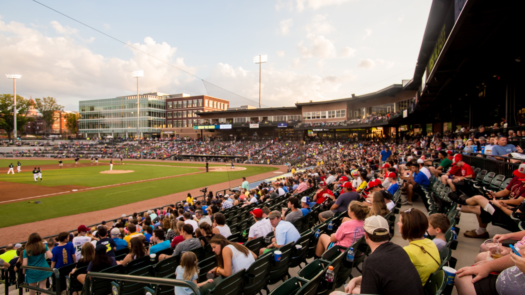 Full Season Memberships | Fireflies