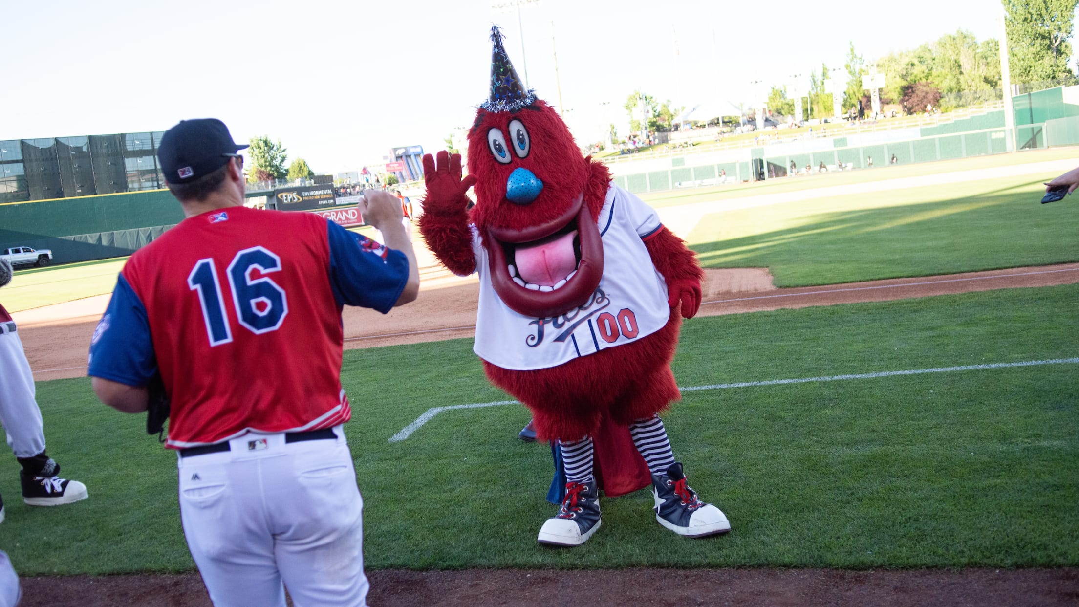 Club Information | Aces