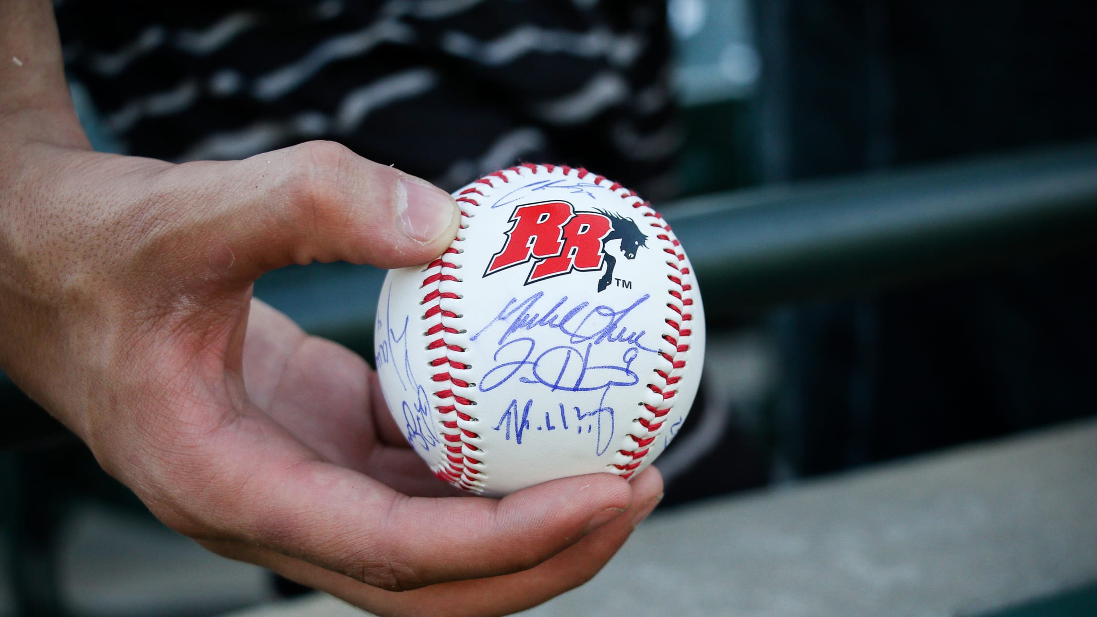 Minor League Baseball Fans | MiLB.com