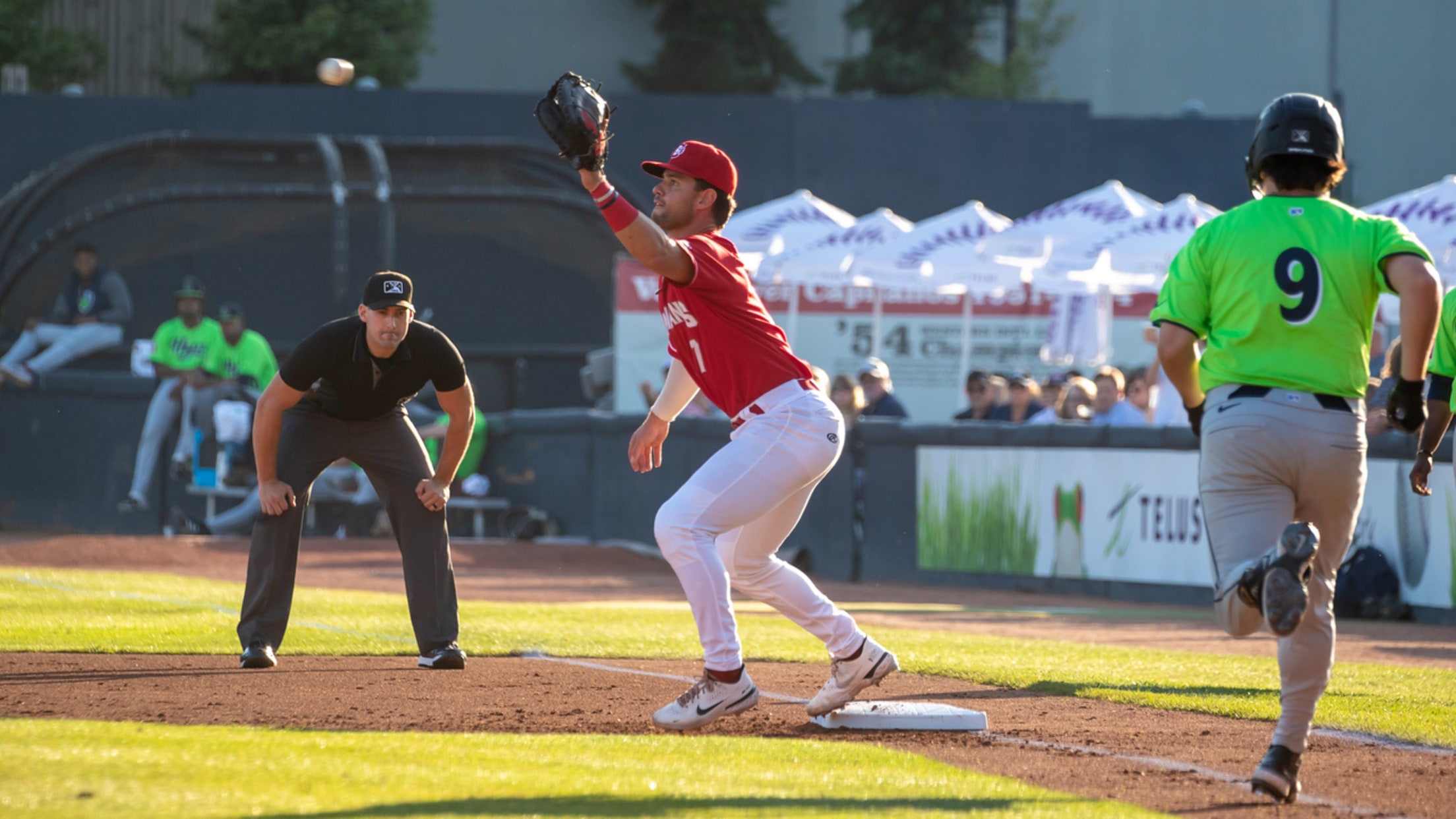 Vancouver Canadians Baseball | MiLB.com
