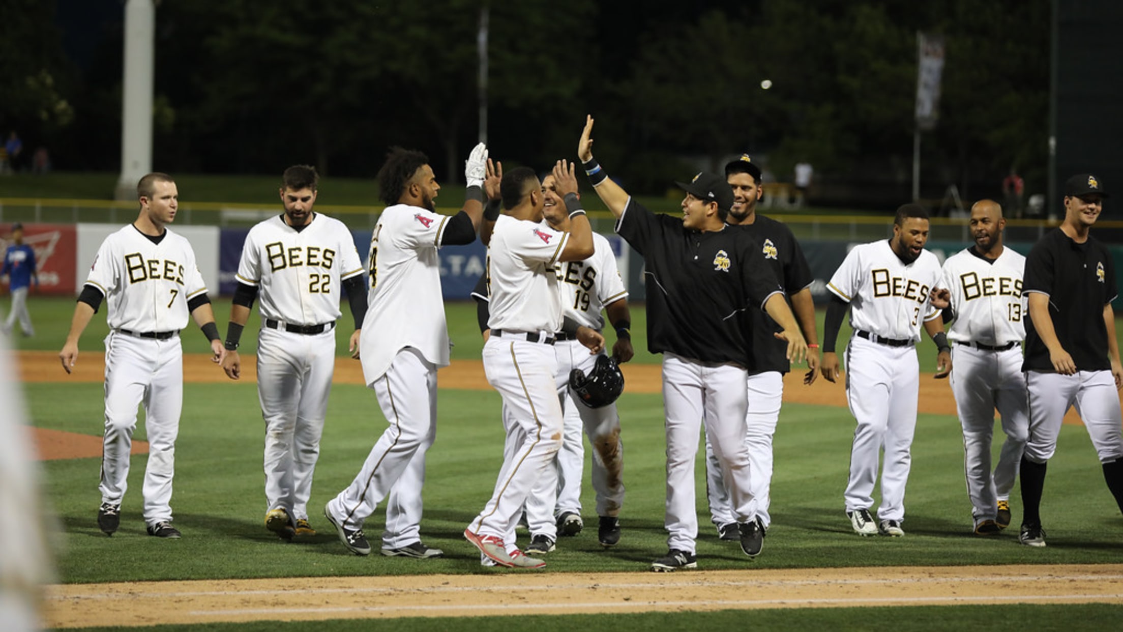 2017 Bees Season In Review | MiLB.com