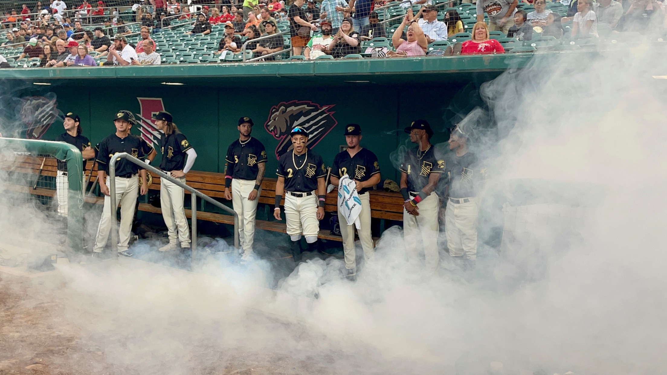 Austin Kitchen Stats, Fantasy & News | MiLB.com