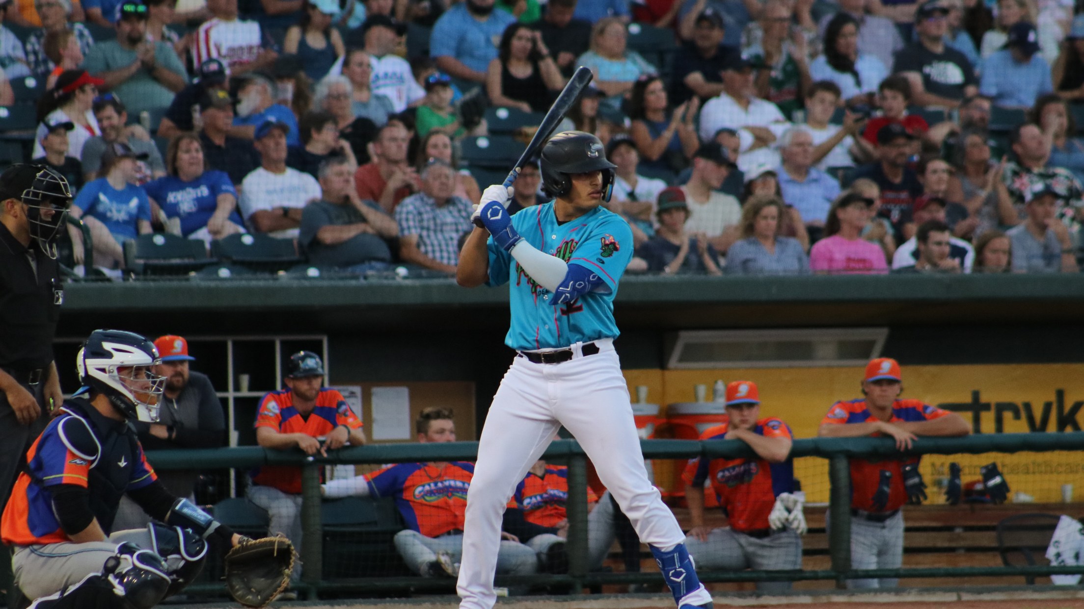 Cole Percival Stats, Fantasy & News | MiLB.com