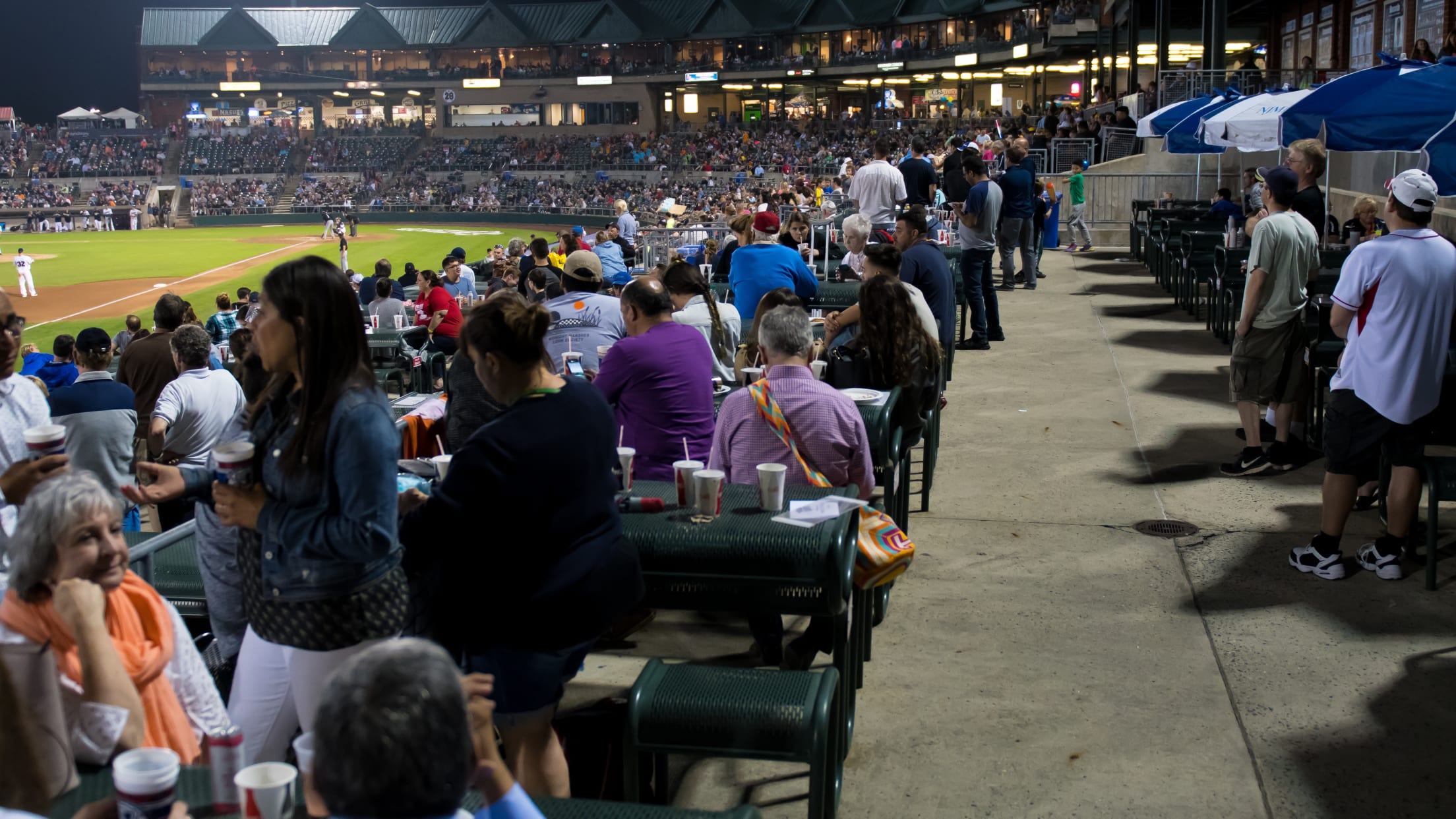 somerset-patriots | Patriots