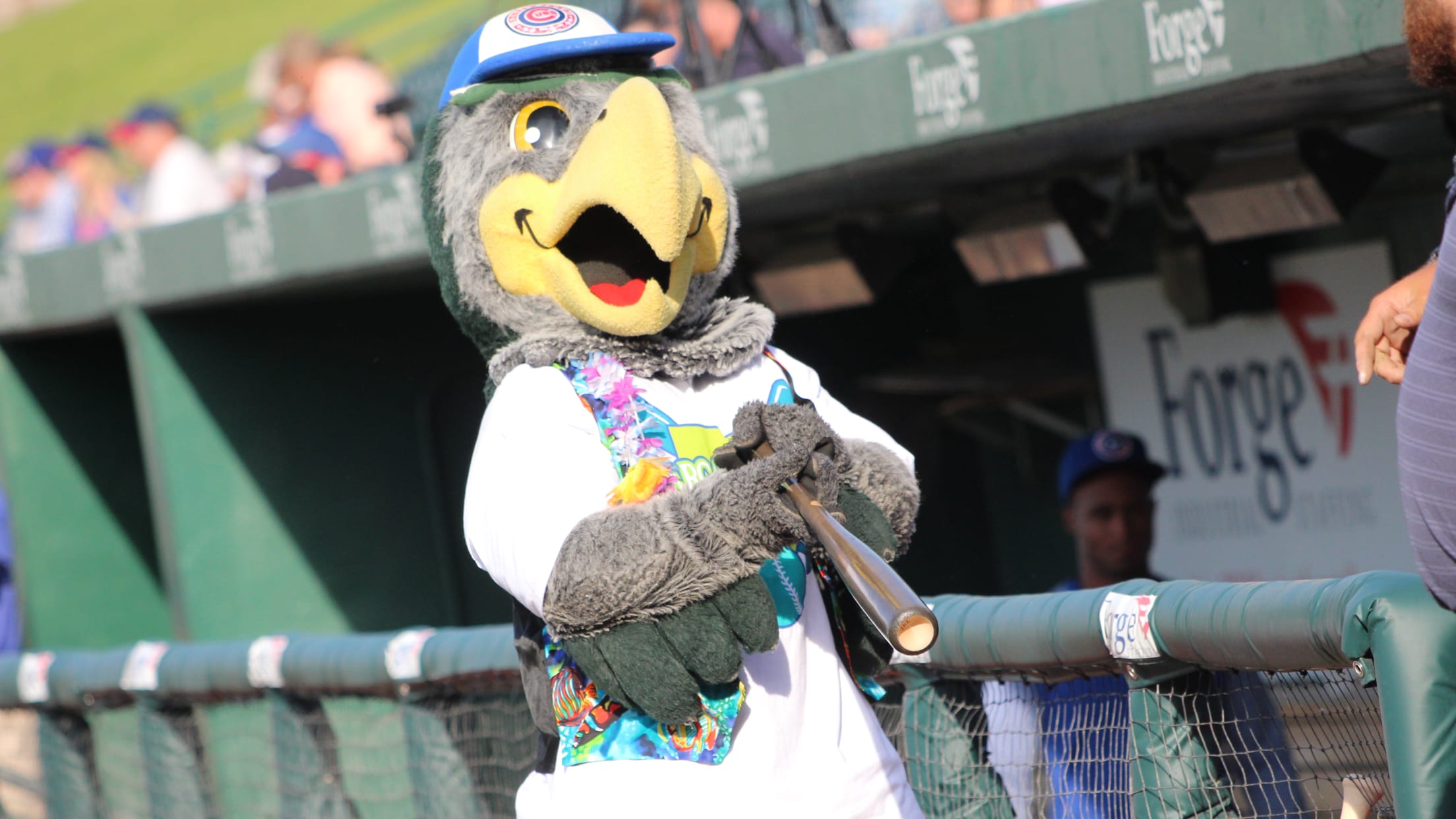 Meet Stu and Swoop | Cubs