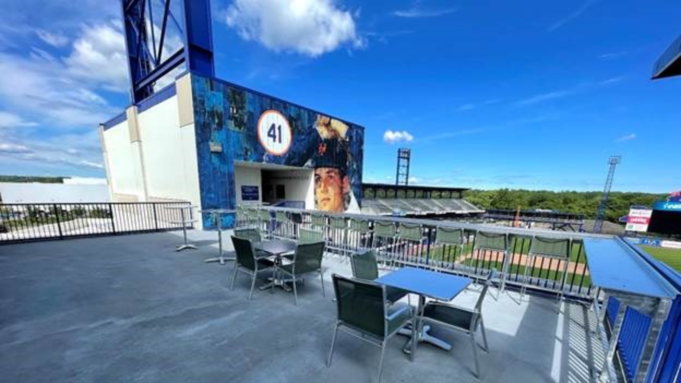 Book a Party with the Syracuse Mets! | Mets